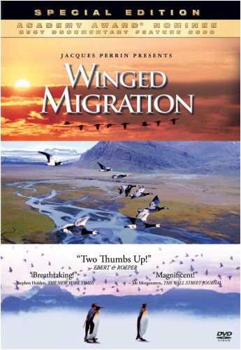 Winged Migration [DVD] [2004] [NTSC]: Amazon.co.uk: Jacques Perrin ...