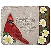 Amazon.com : Carson 12717 Cardinal Appears When Angels are Near ...