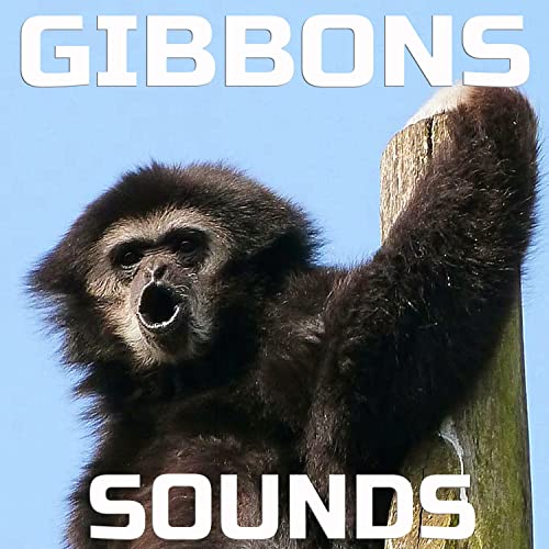 Gibbons Sounds by Gibbons Sounds, Animal Planet FX & Animals Nature ...