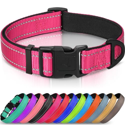 Female Dog Collars – The 15 best products compared - Wild Explained