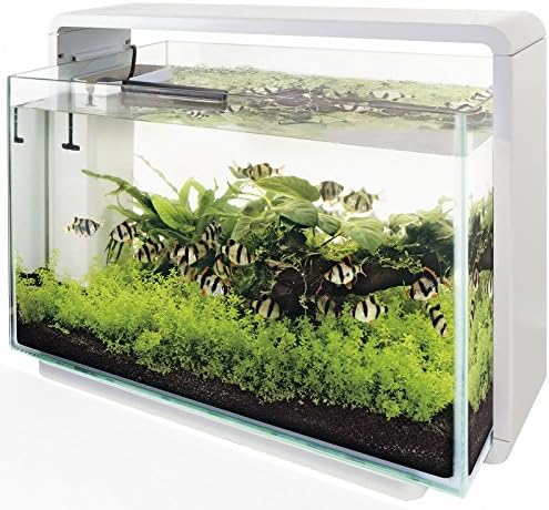 Superfish Home 65 White Freshwater Aquarium : Amazon.co.uk: Pet Supplies