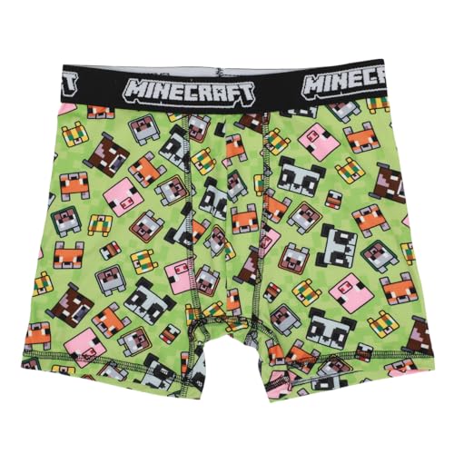 Snapklik.com : Bioworld Youth Boys Minecraft Boxer Brief Underwear 5-Pack