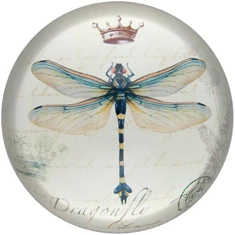 Amazon.com: World Buyers Nature Under Glass Paperweights (Crowned ...