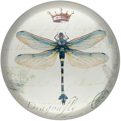 Amazon.com: World Buyers Nature Under Glass Paperweights (Crowned ...