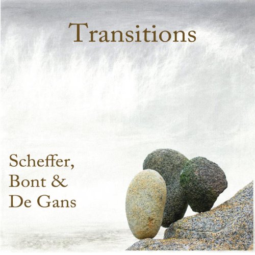 Amazon.com: Transitions : Marten Scheffer, Arthur Bont & Koen De Gans ...