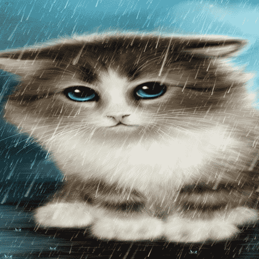Cute cats wallpaper - App on Amazon Appstore