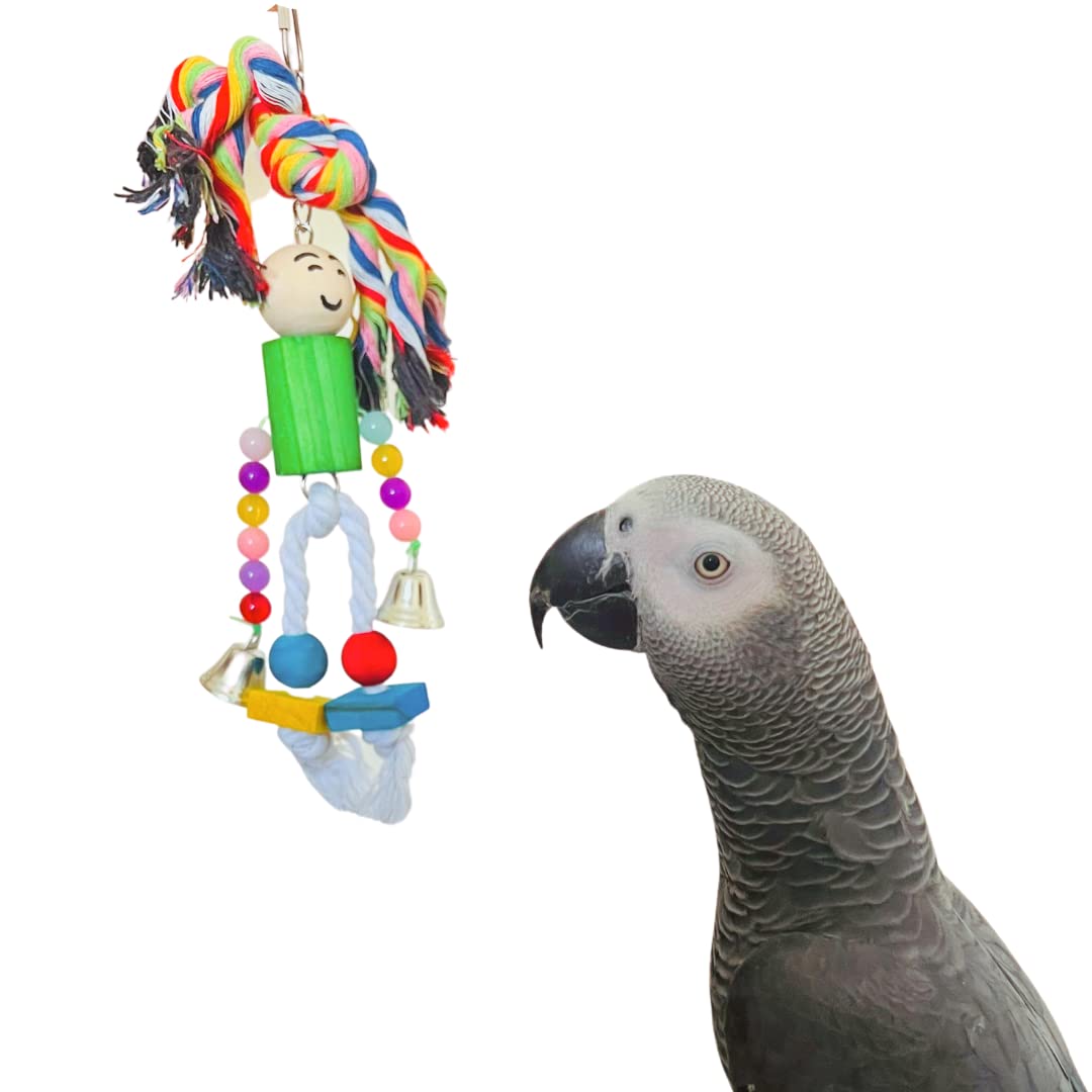 Petsary Bird Toy Human Design With Smiley Face Bird Parrot | Desertcart ...