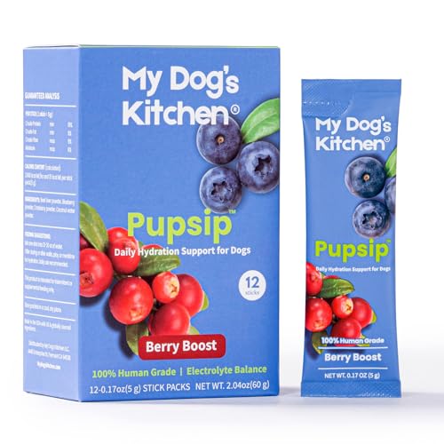 Dog Hydration – The 15 best products compared - Wild Explained