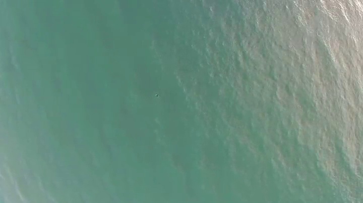 Watch ThrowRaft TD2401 Type IV Inflatable Throwable PFD Flotation ...