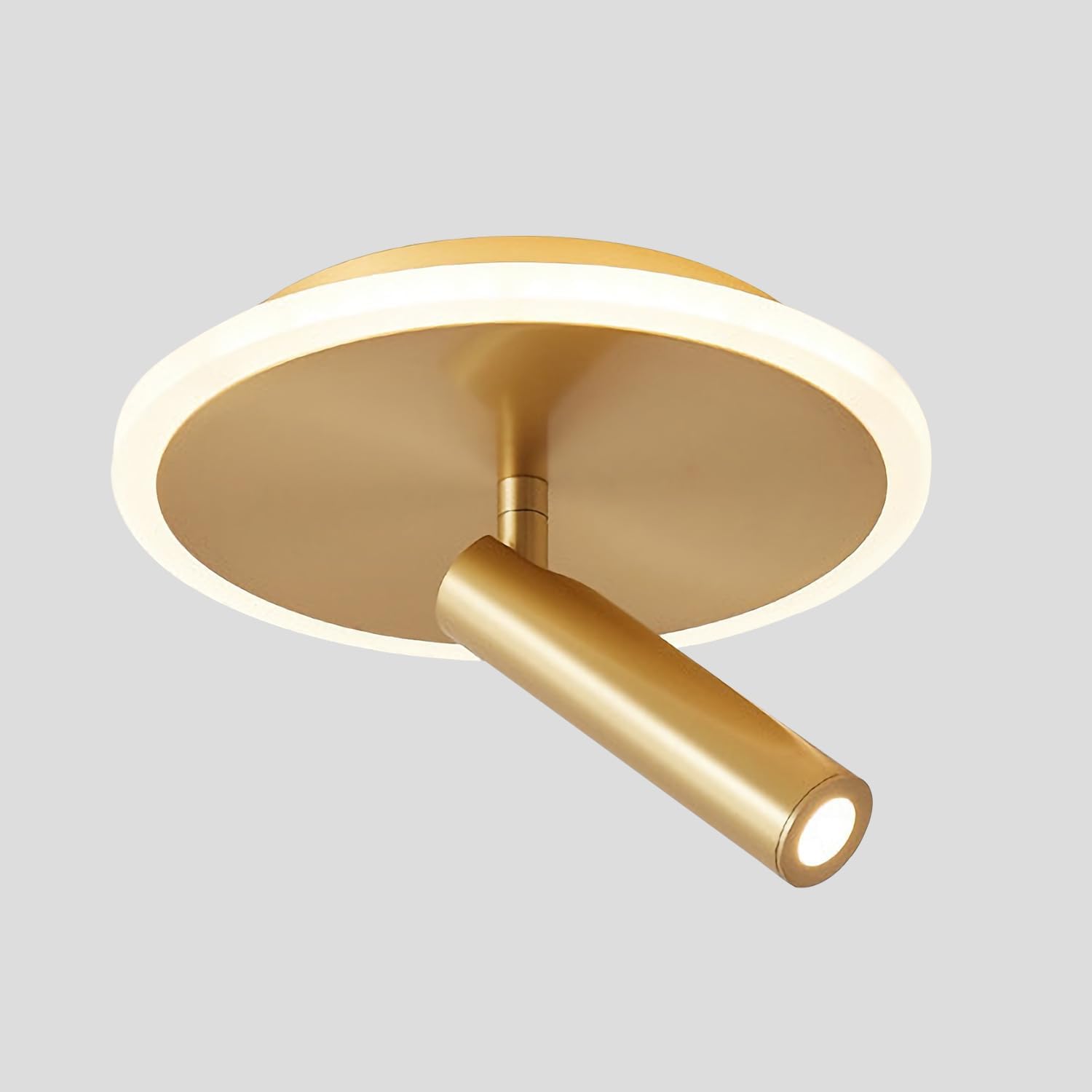 Flyrose 1-Light Flush Mount Led Ceiling Spotlight Gold Modern ...