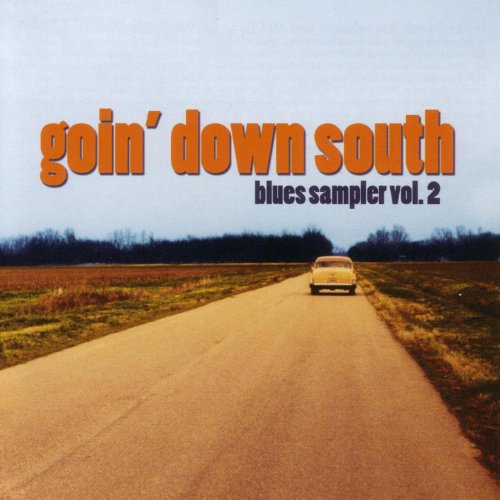Play Goin' Down South (Blues Sampler Vol. 2) by VARIOUS ARTISTS on ...