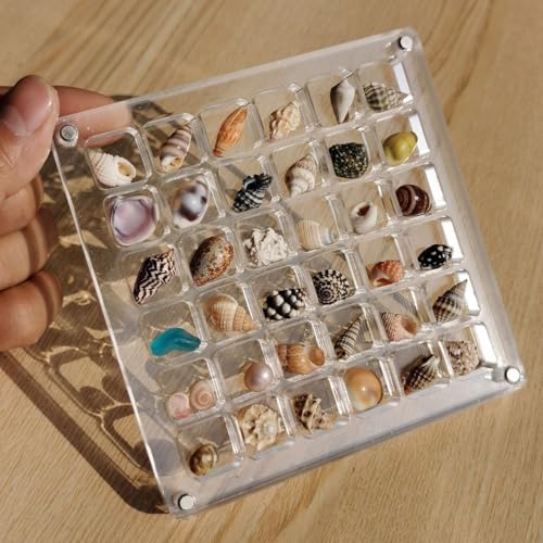 Amazon.com: GNIYUIX Acrylic Magnetic Seashell Display Box - 36 Grids ...