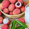 Amazon.com : 10pcs Lychee Tropical Fruit Heirloom Seeds - Non-GMO ...