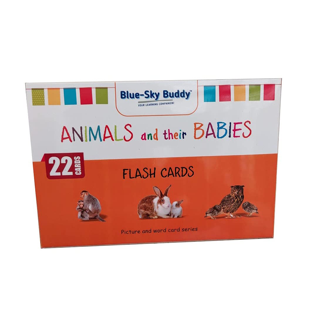 Buy Blue-Sky Buddy Flash Card | A5 Size Jumbo flashcards | Enhancing ...