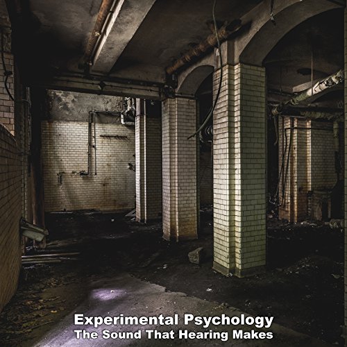 Amazon.com: The Sound That Hearing Makes : Experimental Psychology ...