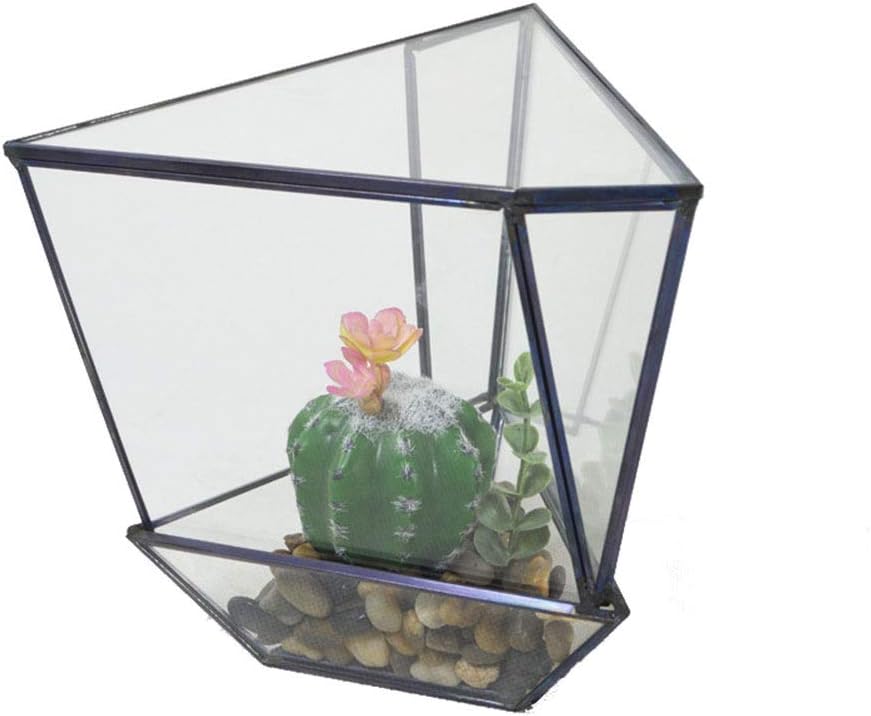 Amazon.com: Terrariums Modern Metal Glass Irregular Geometric for Home ...