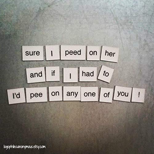 Friends Poetry Magnets Fridge Magnets Friends TV Show Quotes Friends ...