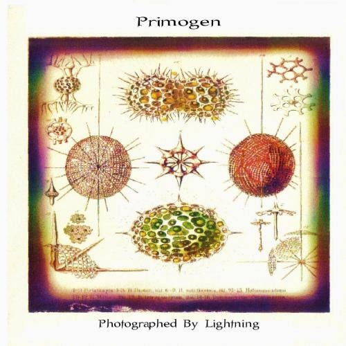 Primogen: Amazon.in: Music}