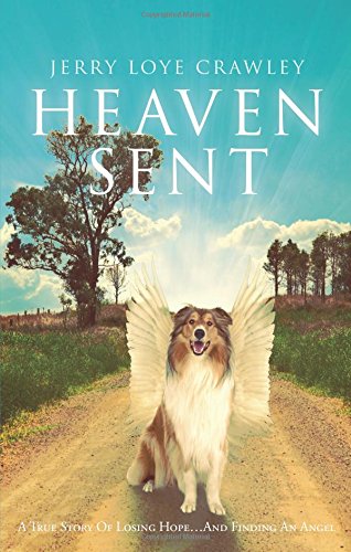 Heaven Sent: A True Story of Losing Hope...and Finding an Angel ...