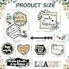 Amazon.com: Bulletin Board Decoration Eucalyptus Classroom Posters ...