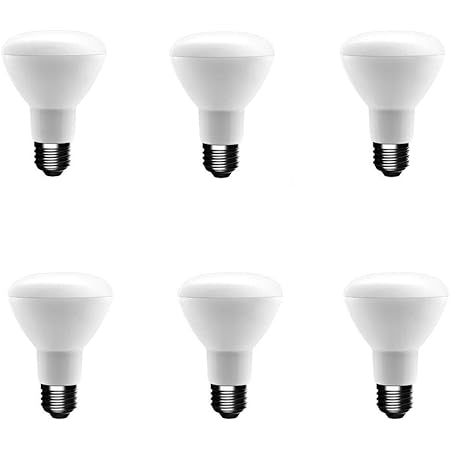 EcoSmart 50-Watt Equivalent R20 Dimmable Energy Star LED Light Bulb ...