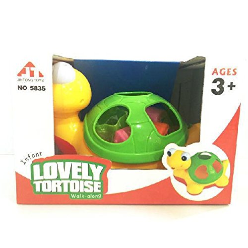 Buy Toysz Pull Along Tortoise Toy Online at Low Prices in India - Amazon.in