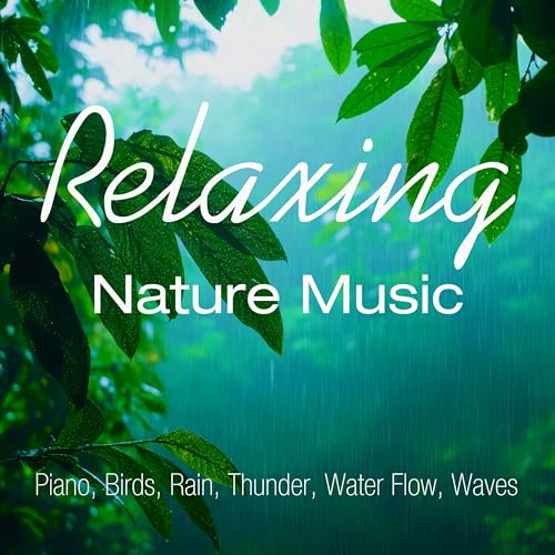 Play Relaxing Nature Music - Piano, Birds, Rain, Thunder, Water Flow ...