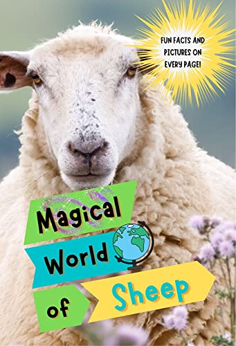 Fun Facts about Sheep: Great for Kids and Adults for Learning ...