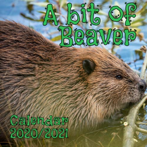 A Bit of Beaver Calendar: Candy, Calendar: 9798672924403: Amazon.com: Books