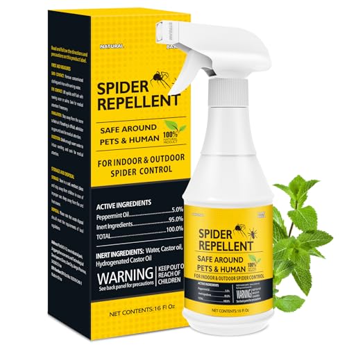 Find The Best Spray For Killing Spiders Reviews & Comparison - Katynel