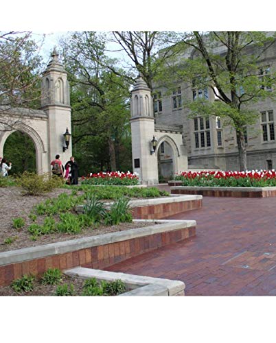 Indiana University: Prince Jason Clark: 9781714773992: Amazon.com: Books