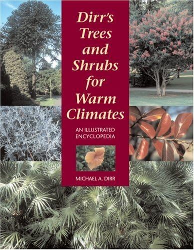 Dirr's Trees and Shrubs for Warm Climates: An Illustrated Encyclopedia ...