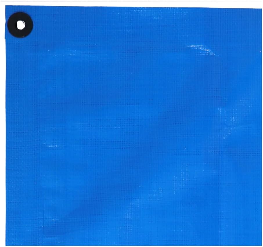 Amazon.co.jp: コーナン オリジナル PROACT マッスルハトメブルーシート #3000 KBS-301818 1.7m×1.7m : 産業・研究開発用品