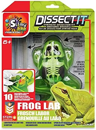 SLIMY Experiment Set Frog – Original Slime Set, Slime Laboratory, Award ...