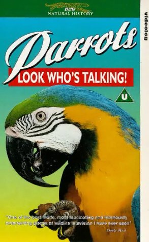 Parrots-Look Who's Talking [VHS]: Amazon.es: Películas y TV