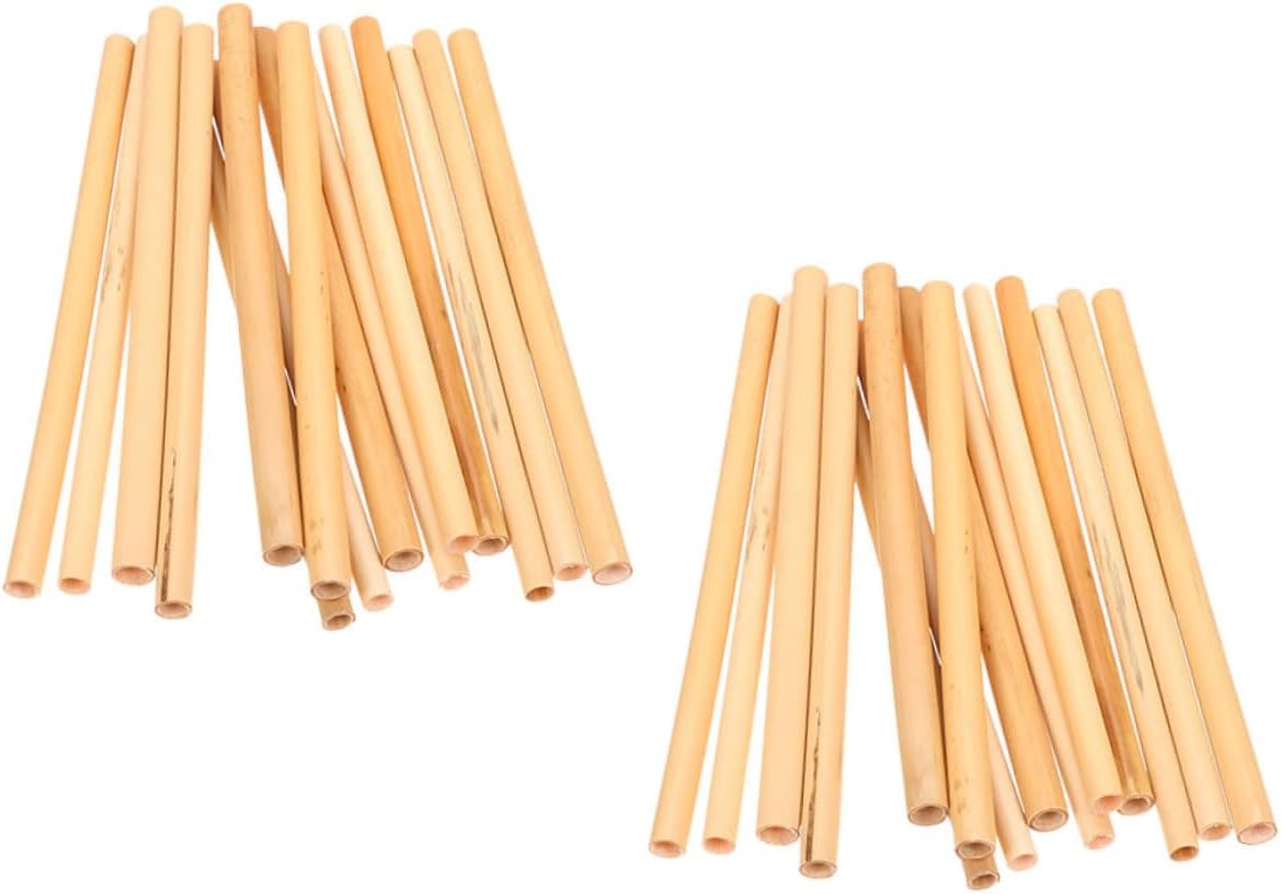 Amazon.com: FUNOMOCYA 40pcs Honeycomb Reed Tube Natural Mason Bee House ...