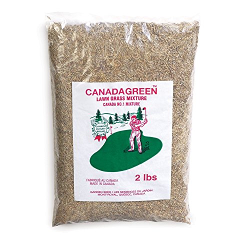 Top 10 Best Dark Green Grass Seed : Reviews & Buying Guide - Katynel