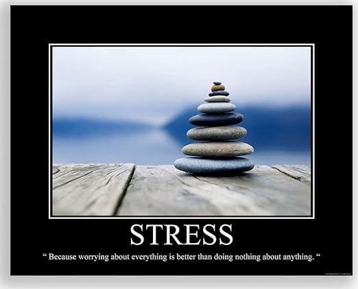 Amazon.com: Inspirational Wall Art Co. - Stress | Demotivational Poster ...