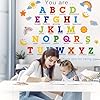 Amazon.com: Wall Decals Alphabet Wall Stickers Removable ABC Wall ...