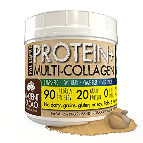 Top 10 Best Cost Effective Protein Powder : Reviews & Buying Guide ...