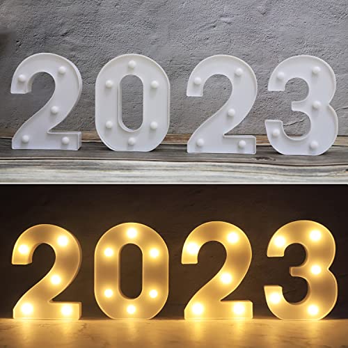 Snapklik.com : Curyidy Graduation Party Decorations 2023Light Up ...