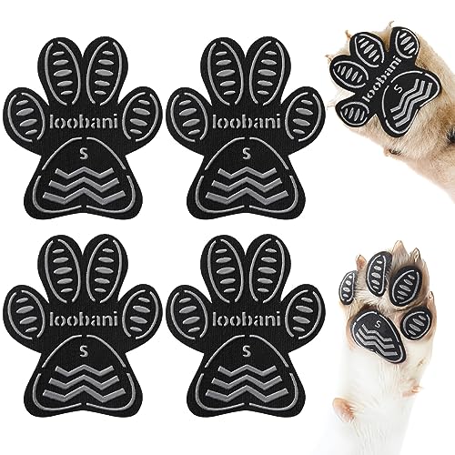 Cut On Dog Paw Pad – The 15 best products compared - Wild Explained