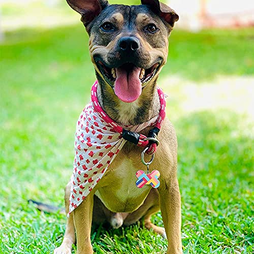 KEKID Dog ID Tags - Buy Online