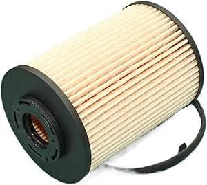 Amazon.com: BHUPWZE Car Fuel Filter Kit 32242188 Compatible C30 C70 S40 ...