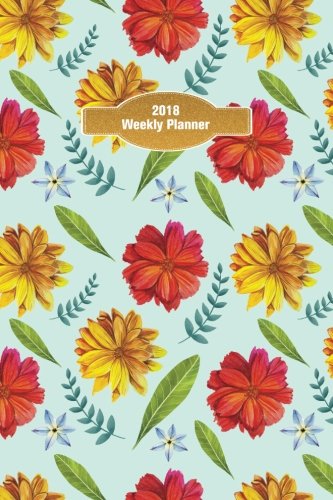 2018 Weekly Planner: 2018-2019 Weekly Monthly Daily Planner 6"x 9 ...