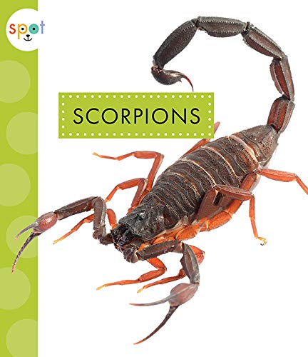 Scorpions : Buy Online at Best Price in KSA - Souq is now Amazon.sa ...