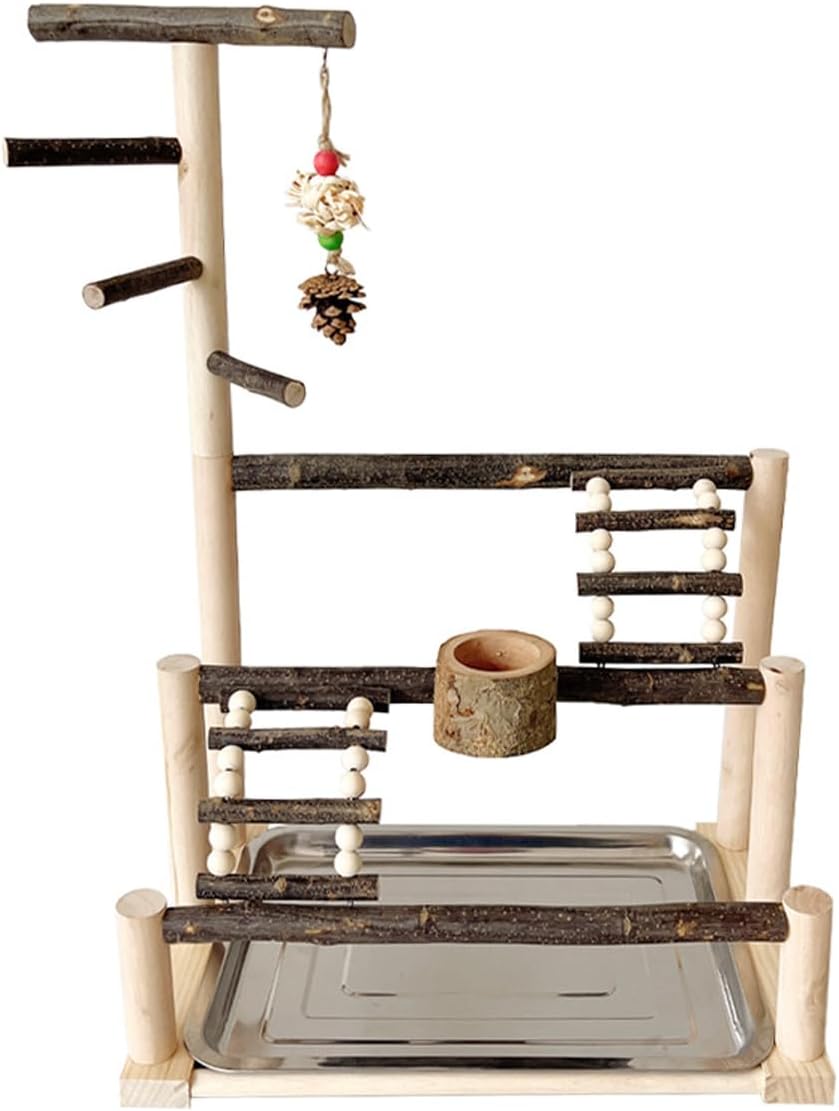 AIMALL Interactive Parrot Training Stand - Large Wooden Desktop Perch ...