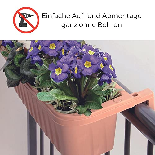 Stilvolle Geländer Blumenkasten Aldi Ebenbild