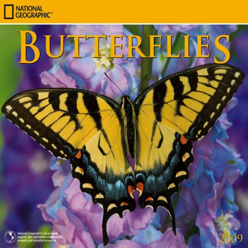 National Geographic: Butterflies: 1 : Wall: Amazon.in: Books