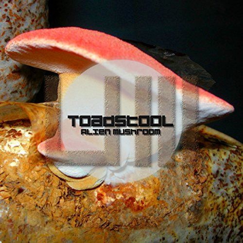 Amazon.com: Alien Mushroom : Toadstool: Digital Music